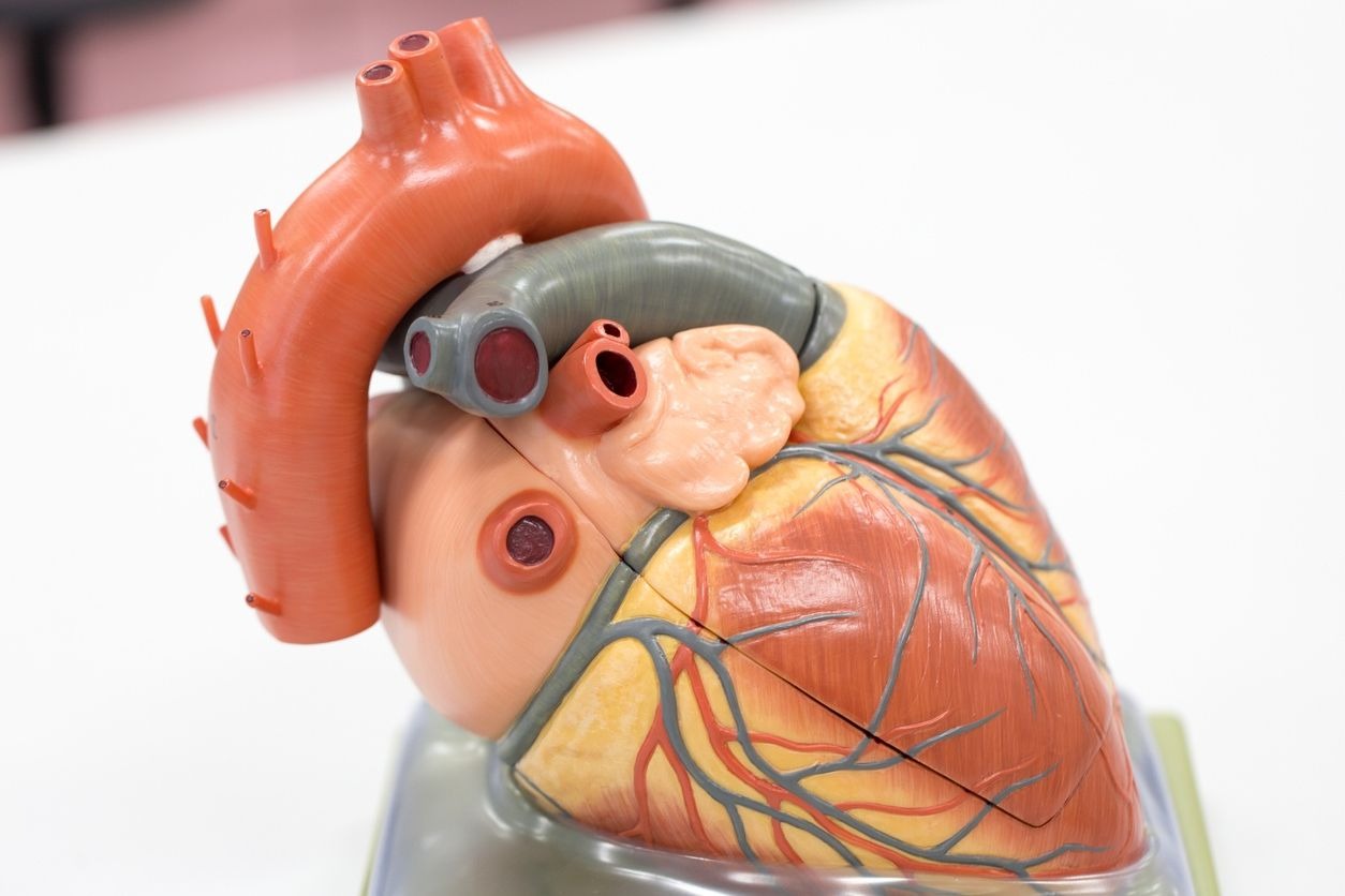 Liberation of the pericardium: how to soothe your heart?